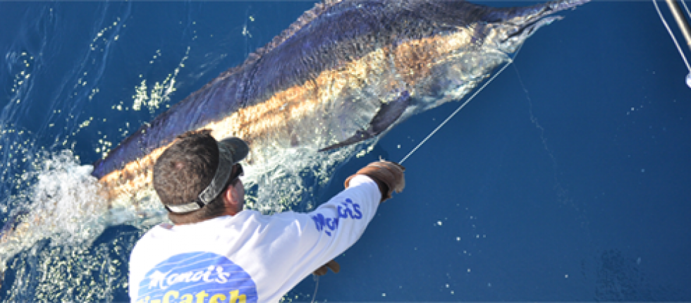 Diamond Fishing | Our Reputation is on the Line!